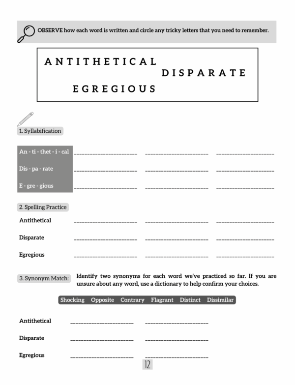 Spelling High School Workbook Grades 11-12 - Natasha Scripts